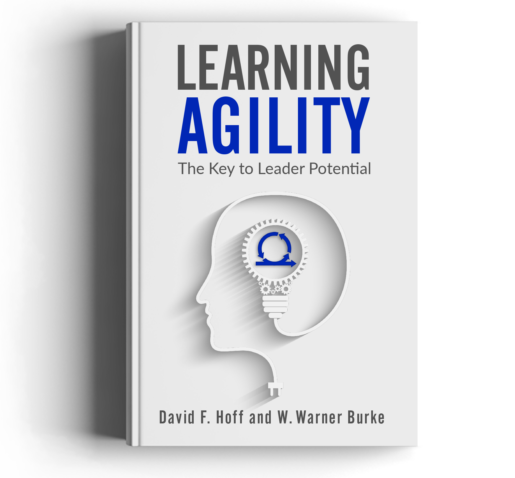 'Learning Agility: The Key to Leader Potential' | Hogan Assessments